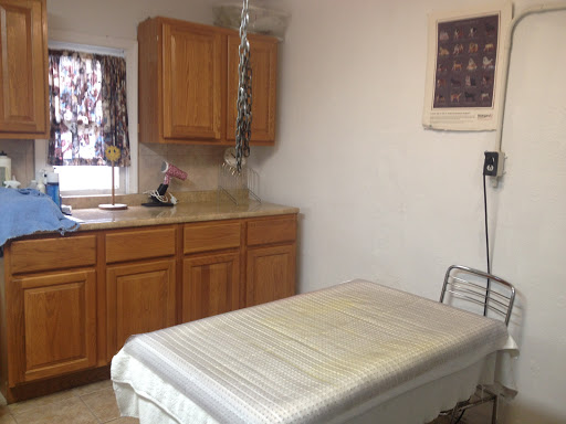 Art City Vets Wellness Center - Average Rating: 4.9 & 78 Votes | 2000 ...