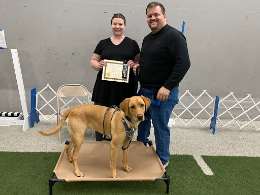 Red Bank Veterinary Hospital (RBVH) - Mt. Laurel - Average Rating: 4.3 ...