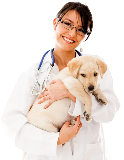 Red Bank Veterinary Hospital (RBVH) - Mt. Laurel - Average Rating: 4.3 ...
