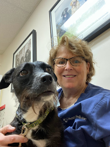 Ludwigs Corner Veterinary Hospital - Average Rating: 4.8 & 434 Votes ...