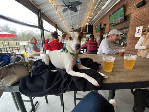 Lucky Dog Steele Creek