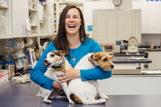 Peak Veterinary Referral Center - Average Rating: 4.5 & 254 Votes | 158 ...