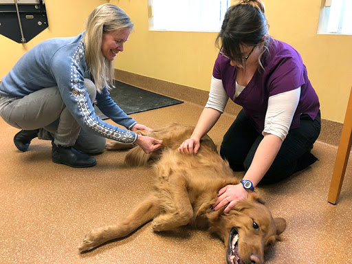 Peak Veterinary Referral Center - Average Rating: 4.5 & 254 Votes | 158 ...