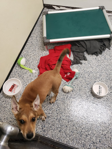 Kentucky Humane Society East Campus - Average Rating: 4.5 & 342 Votes ...