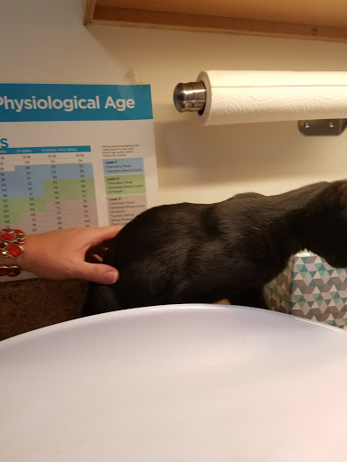 Spring Hill Veterinary Clinic - Average Rating: 4.7 & 586 Votes | 602 N ...