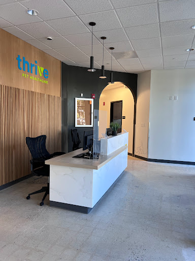 Art City Vets Wellness Center - Average Rating: 4.9 & 78 Votes | 2000 ...