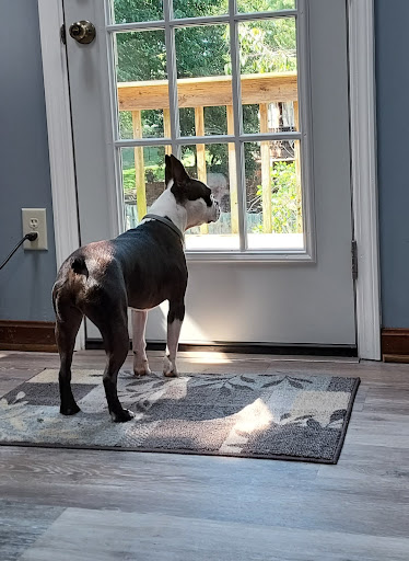 PetVet365 Pet Hospital Louisville/Anchorage - Average Rating: 4.9 & 67 ...