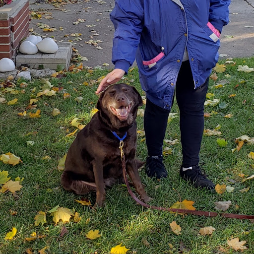 Metropolitan Veterinary Hospital Akron - Average Rating: 4.0 & 2041 ...