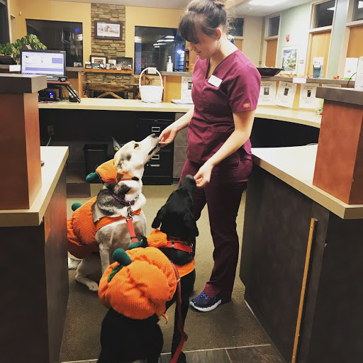 Northwest Animal Care Hospital - Average Rating: 4.6 & 470 Votes ...