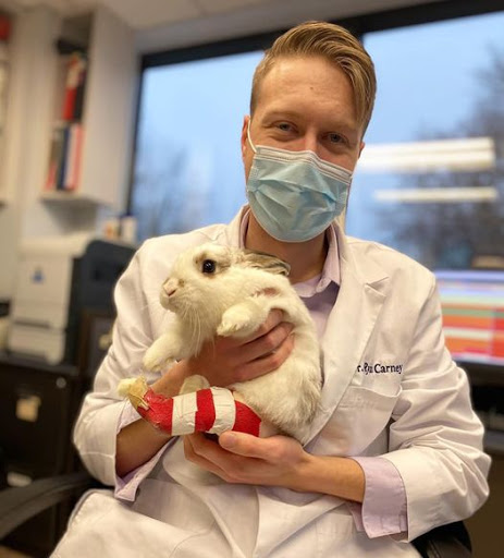 Pender Veterinary Centre - Fairfax (24/7 Emergency) - Average Rating: 4 ...