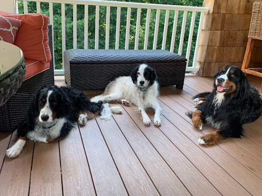 Ludwigs Corner Veterinary Hospital - Average Rating: 4.8 & 434 Votes ...