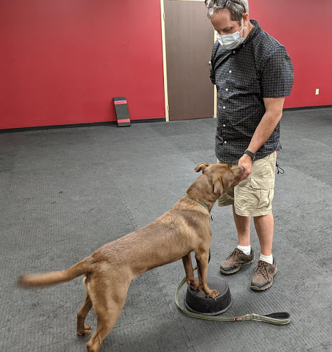 Metropolitan Veterinary Hospital Cleveland East - Average Rating: 4.1 ...