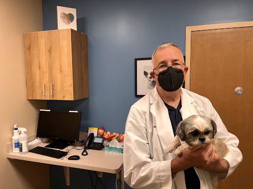 Your Pets Wellness (Logan Square), A Thrive Pet Healthcare Partner ...