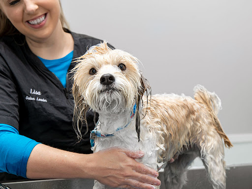 Peak Veterinary Referral Center - Average Rating: 4.5 & 254 Votes | 158 ...