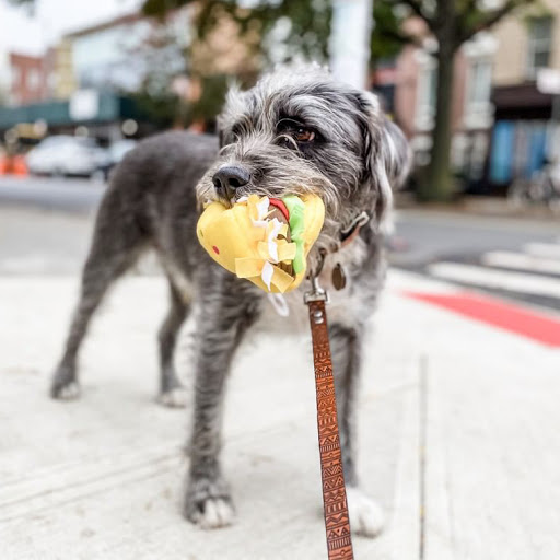 Art City Vets Wellness Center - Average Rating: 4.9 & 78 Votes | 2000 ...